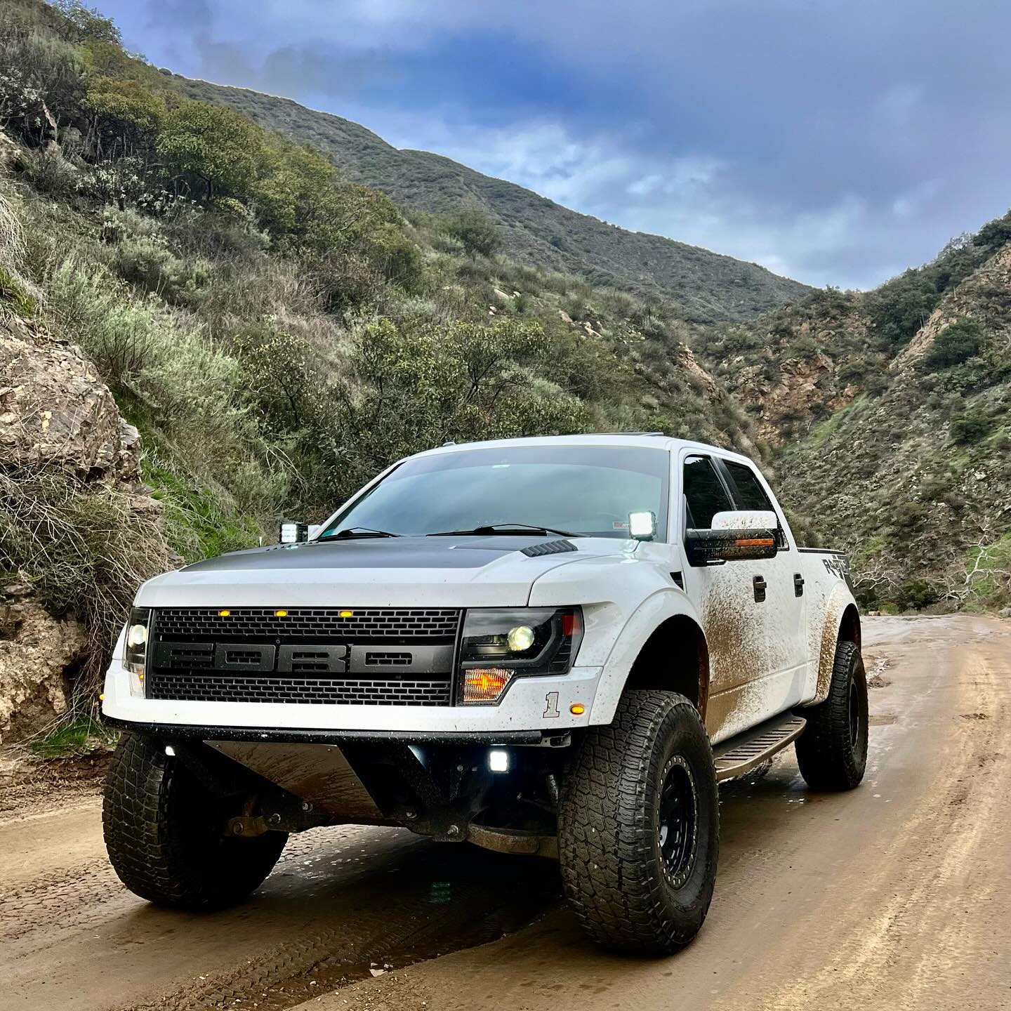 Gen 1 Raptor complete wheel & tire guide - Threepieceus